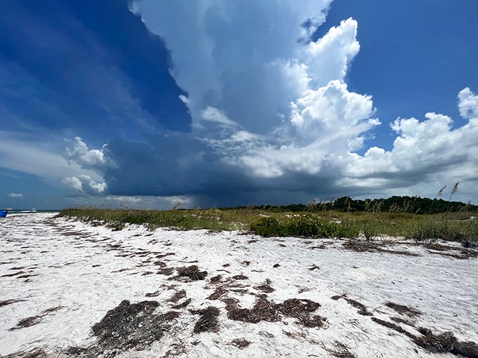 Dramatic clouds gather over Shell Key's untouched shoreline, where the only footprints might be your own.