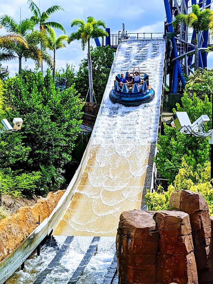 Infinity Falls: Circular rafts navigate through rushing rapids before ascending a vertical lift and plummeting down North America's tallest river raft drop – guaranteeing a thorough soaking.
