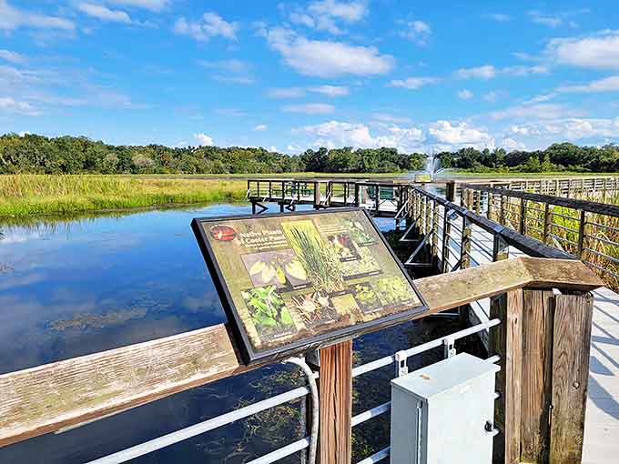 Educational signs that actually teach you something without making you feel like you're back in seventh-grade science class.