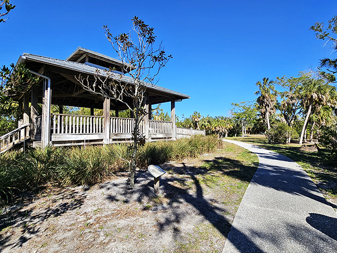 Joan M. Durante Park's wooden observation deck invites visitors to pause and absorb nature's unscripted performance.