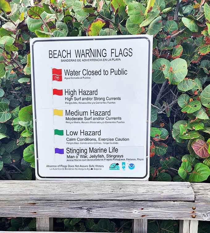 Palmetto Path beckons: This inviting trail disappears into a tangle of native Florida vegetation, promising discoveries for those willing to explore.