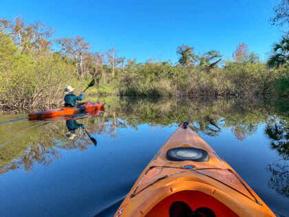 Kayak Through Enchanting Mangrove Tunnels On Turner River In Florida