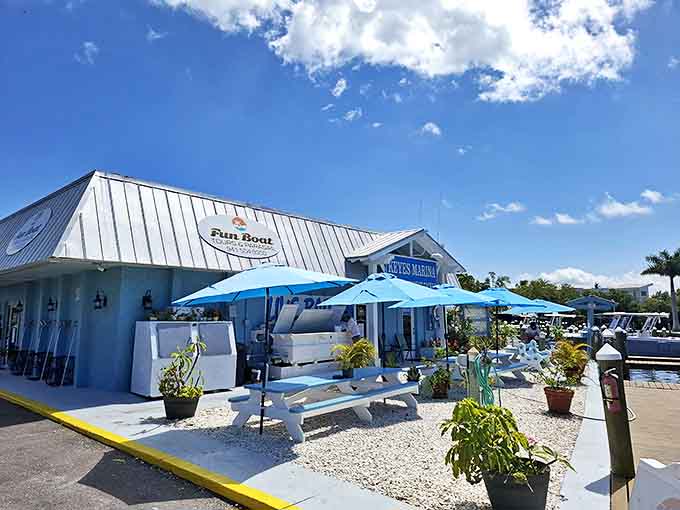 Where boats bob gently in crystal waters, promising adventures and the freshest catch of the day.