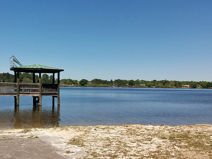 Lake Stanley Park's fishing dock &ndash; where "catching nothing" still somehow beats a day at the office.