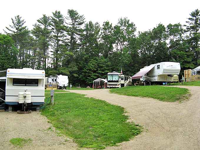RVs nestled among towering pines create a neighborhood where "borrowing a cup of sugar" still happens.