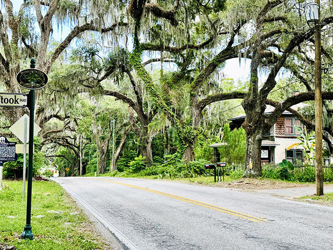 Spanish moss drapes like nature's own curtains, adding that Old Florida atmosphere that developers can't replicate no matter how hard they try.
