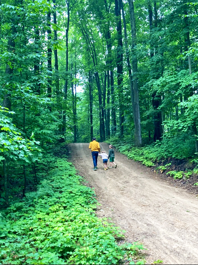 Nature's own cathedral: The sunlight filtering through Michigan's dense forest creates a stained-glass effect on this peaceful walking trail.