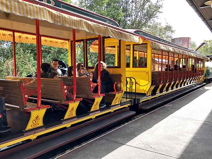 Families create lasting memories in the open-air passenger cars, where the gentle rocking motion and Florida breeze create the perfect theme park respite.