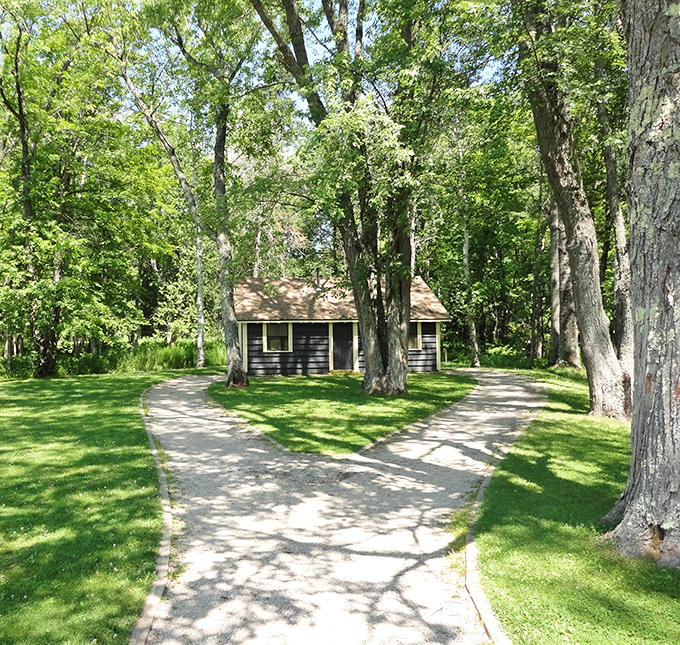 A split walkway that is a corridor to wonderland, with each footprint telling the story of another amazed visitor.