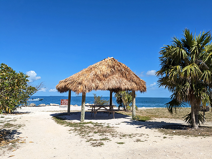 Picnic area: Under this thatched palapa, time slows down and sandwiches somehow taste better than they ever do at home.