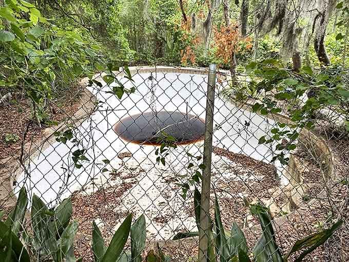 The abandoned swimming pool sits empty and forlorn, collecting rainwater instead of laughter &ndash; a concrete shell of former poolside glamour.