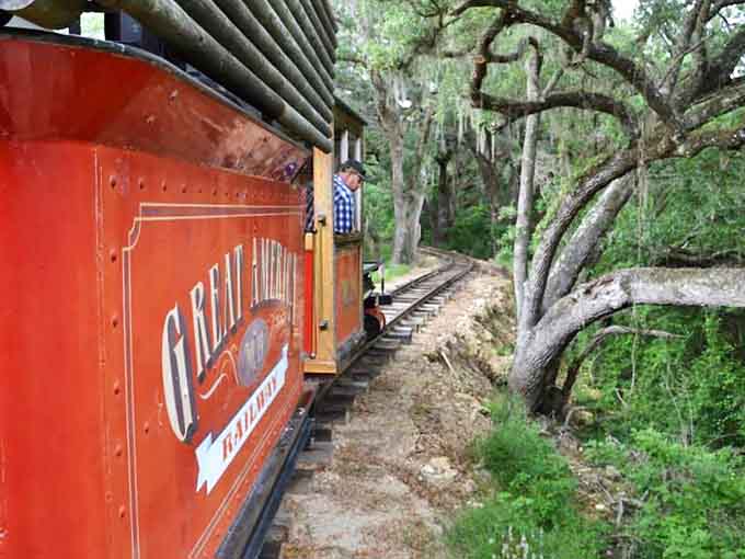 The train winds through moss-draped oaks, creating a quintessentially Southern scene that no highway journey could ever provide.