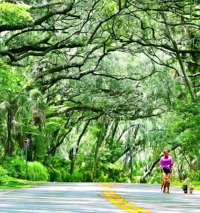 Weekend wanderers discover that the best attractions don't require admission tickets—just an appreciation for natural wonders.