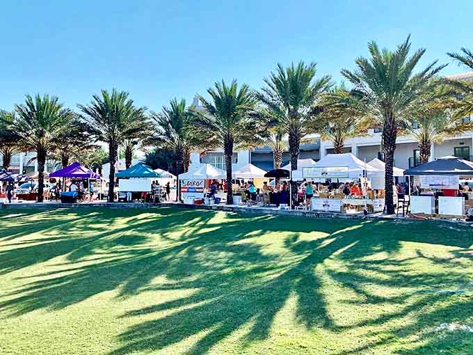 The Seaside Farmers Market transforms the town green into a celebration of local bounty, where palm tree shadows dance across colorful vendor tents.
