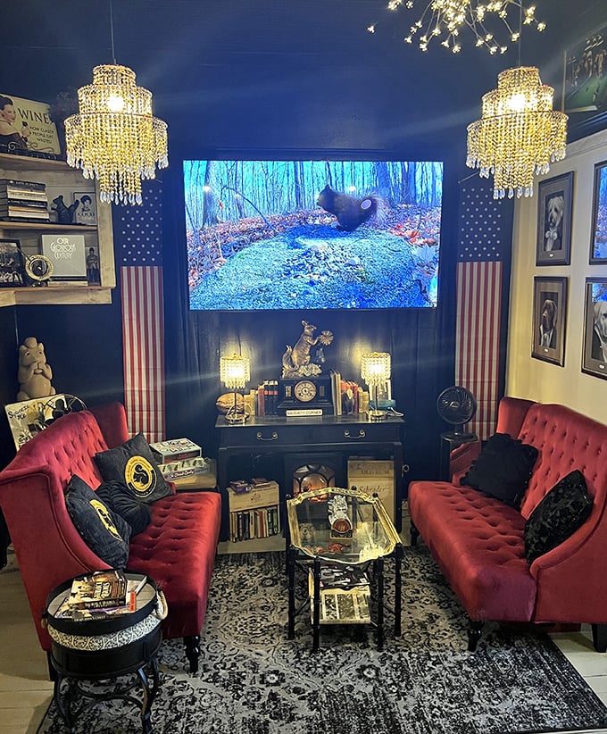 Red velvet seating and crystal chandeliers create the perfect nook for watching nature documentaries with a side of sophistication.