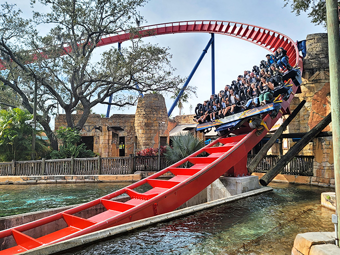 SheiKra's floorless design ensures nothing comes between you and that stomach-dropping, face-melting, 200-foot plunge into aquatic glory.