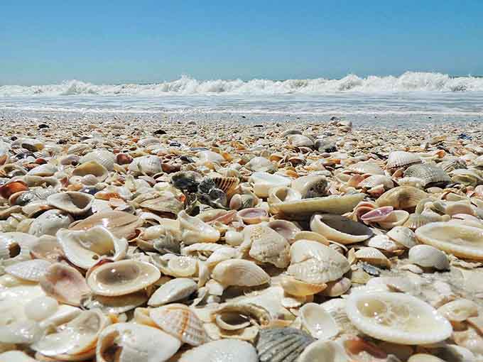 Nature's jewelry box spilled open &ndash; thousands of seashells creating a natural mosaic that changes with each tide.