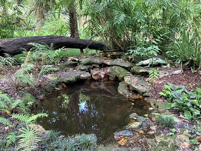 Secret forest pool: This hidden gem looks like something the woodland fairies would keep all to themselves.