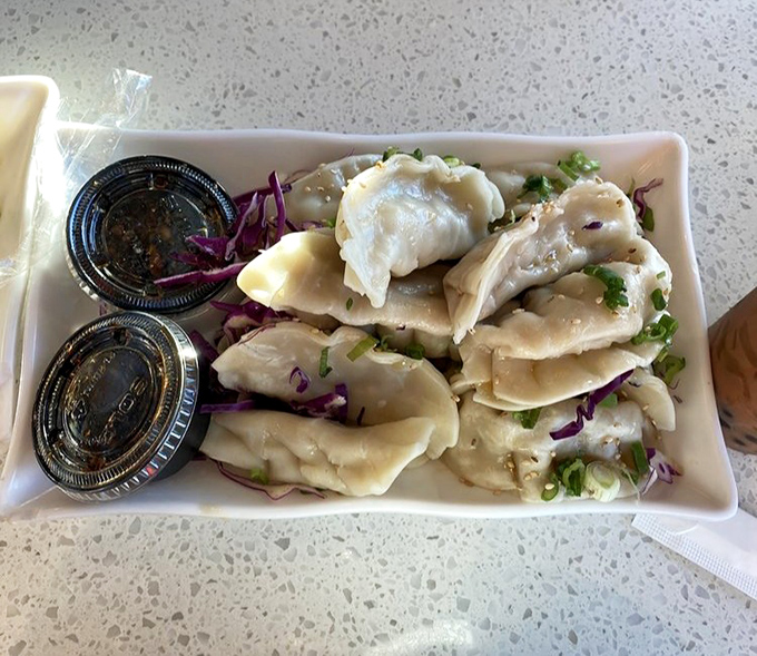 Dumplings so perfectly pleated they deserve their own fashion show, nestled on a bed of purple cabbage like edible jewels.