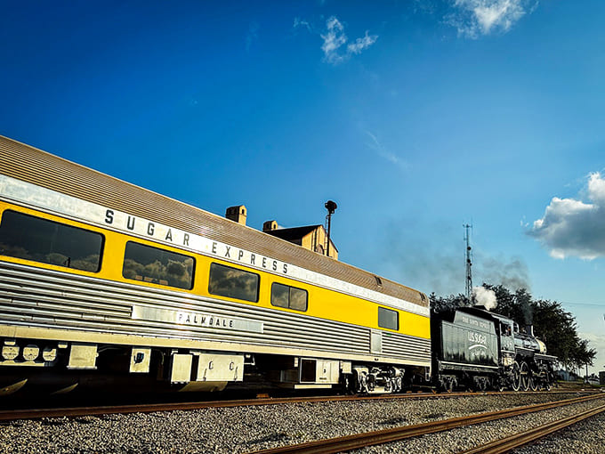 The bright yellow passenger cars trailing behind the locomotive create a striking contrast against Florida's blue skies and green fields, like a moving work of art.