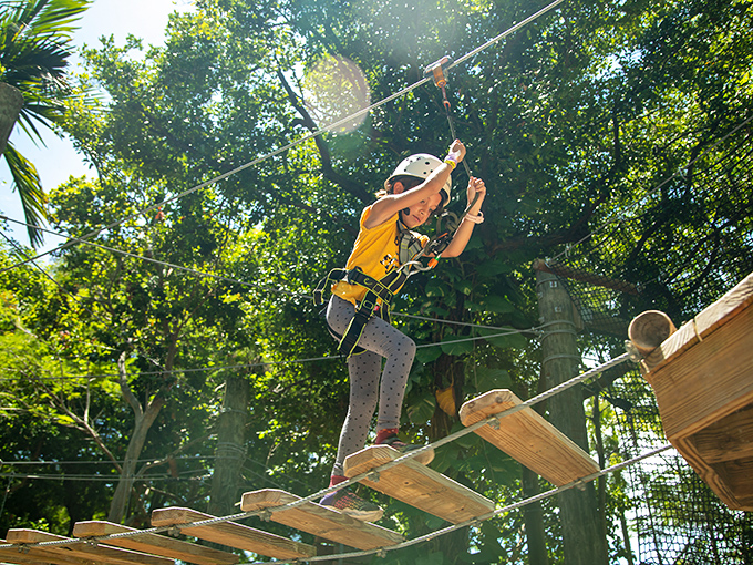 Walking the plank has never been this rewarding. Each wooden step brings you deeper into Miami's hidden emerald world.