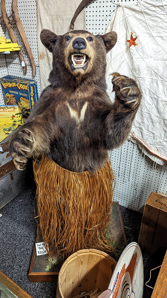 Meet the shop's most surprising greeter – a full-sized taxidermy bear sporting a grass skirt, forever caught in a moment of wilderness-meets-luau confusion.