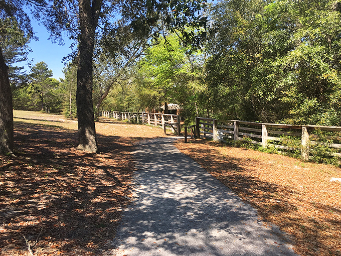 Nature reclaims the edges of history along this peaceful trail, where strategic military positioning meets Florida's natural beauty.