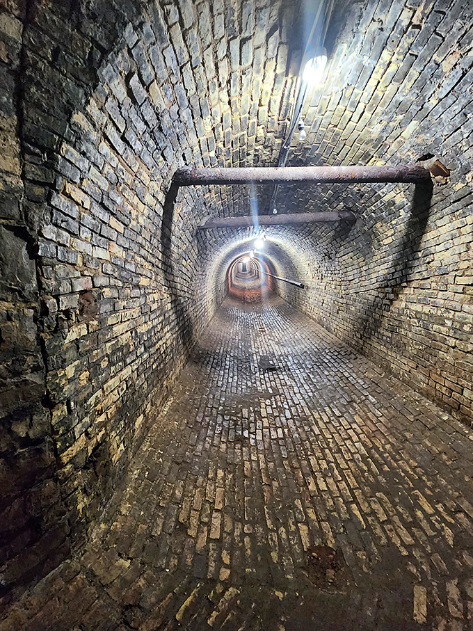 The meticulously constructed tunnel system showcases Victorian engineering prowess, with every brick placed by hand over a century ago.