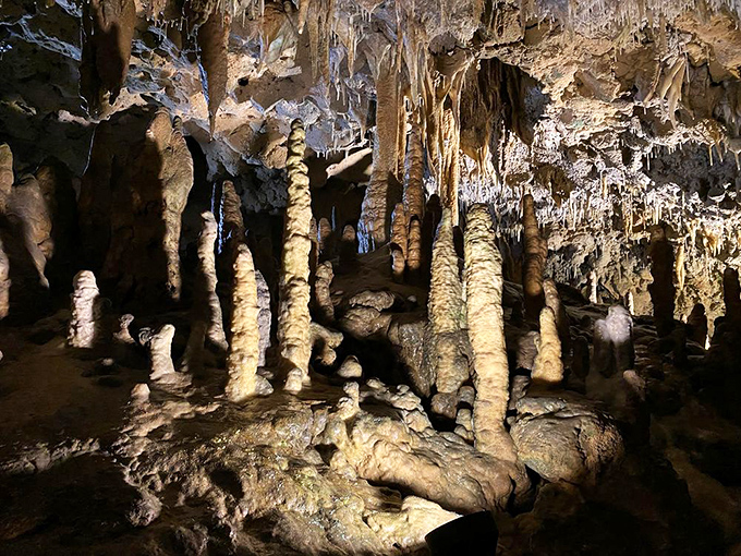 Descend into Florida's unexpected underworld, where 65-degree temperatures offer sweet relief from the sunshine state's heat.