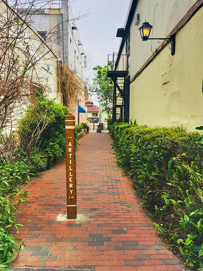 European vibes without the jet lag—narrow streets that force even the most dedicated shoppers to slow down.