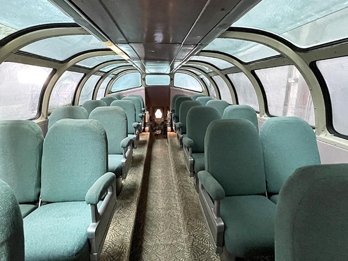 The dome car's curved glass ceiling turns every journey into a panoramic experience, because sometimes the sky deserves as much attention as the scenery.