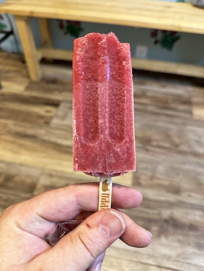 6. watermelon hibiscus popsicle