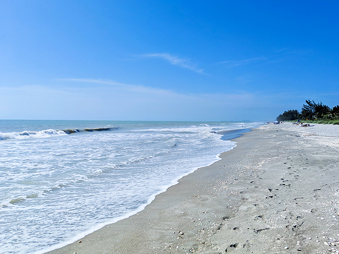 Wide shot of the beach: Where the horizon line blurs between sea and sky, creating the perfect backdrop for forgetting whatever was stressing you out.