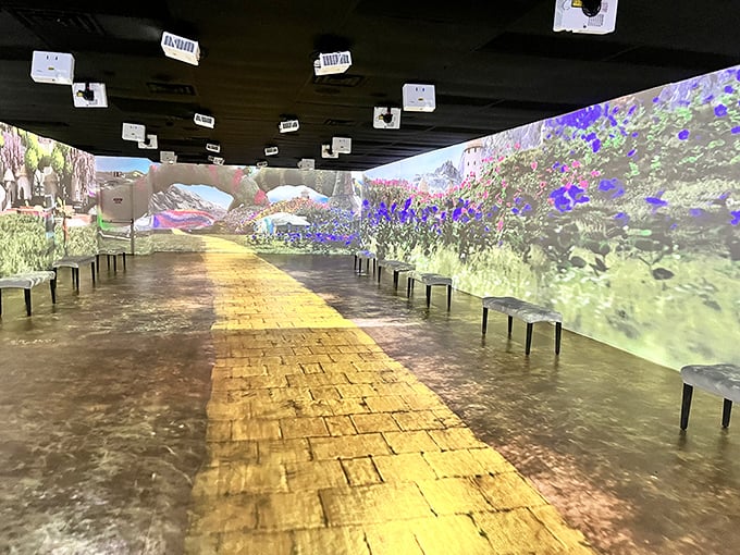 Immerse yourself in a digital garden where projected flowers bloom around you &ndash; no ruby slippers required to escape these poppies!