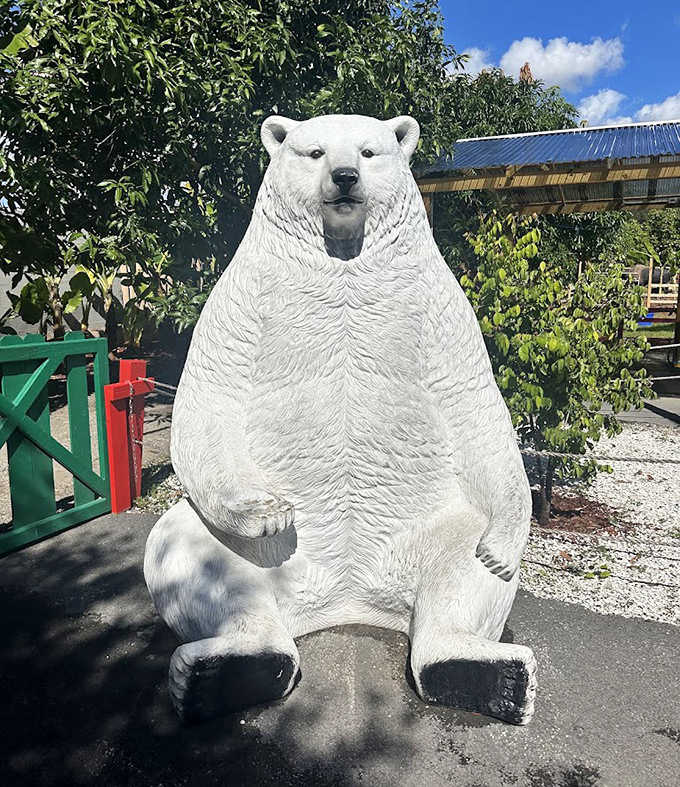 This massive polar bear statue stands sentinel near the entrance, offering a cool photo opportunity even on the warmest Florida days.