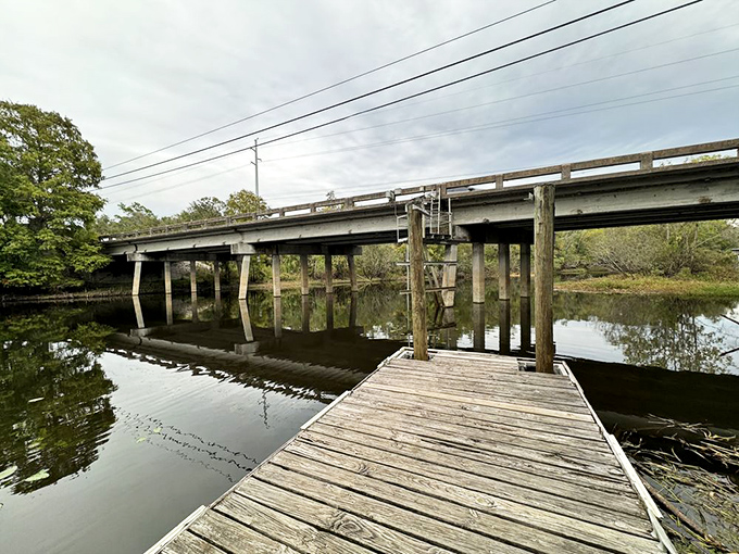 Engineering meets nature as this boardwalk tunnels under Morris Bridge, creating a passage between two worlds of wilderness.