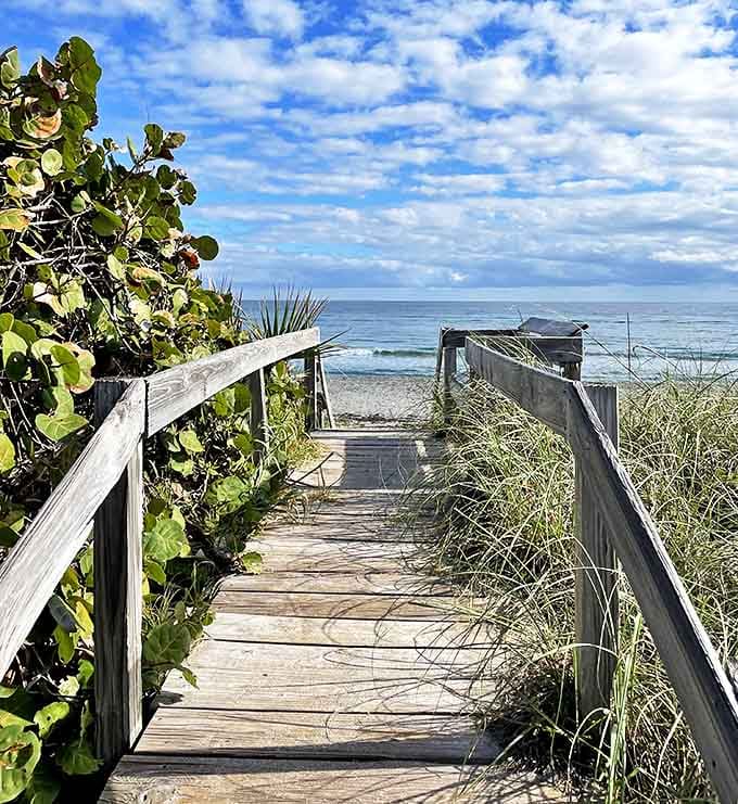 This wooden boardwalk invites exploration, leading adventurers through coastal dunes to discover the natural treasures waiting just beyond.