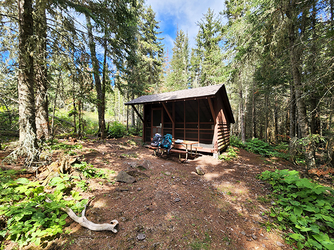 Not the Ritz-Carlton, but after a day of hiking, this three-sided shelter looks like a five-star accommodation with excellent forest views.