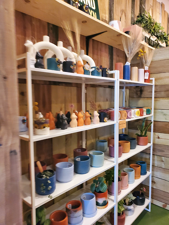 Modern meets vintage in this artful display of ceramic planters &ndash; earthy tones and organic shapes perfect for housing your botanical babies.