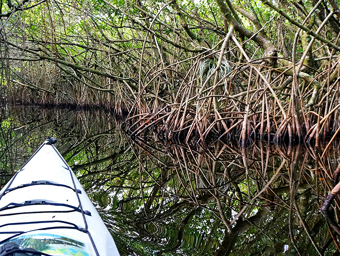 Navigate through nature's maze where mangrove branches create a dense canopy overhead. No GPS signal here&mdash;just you and Old Florida's finest architecture.
