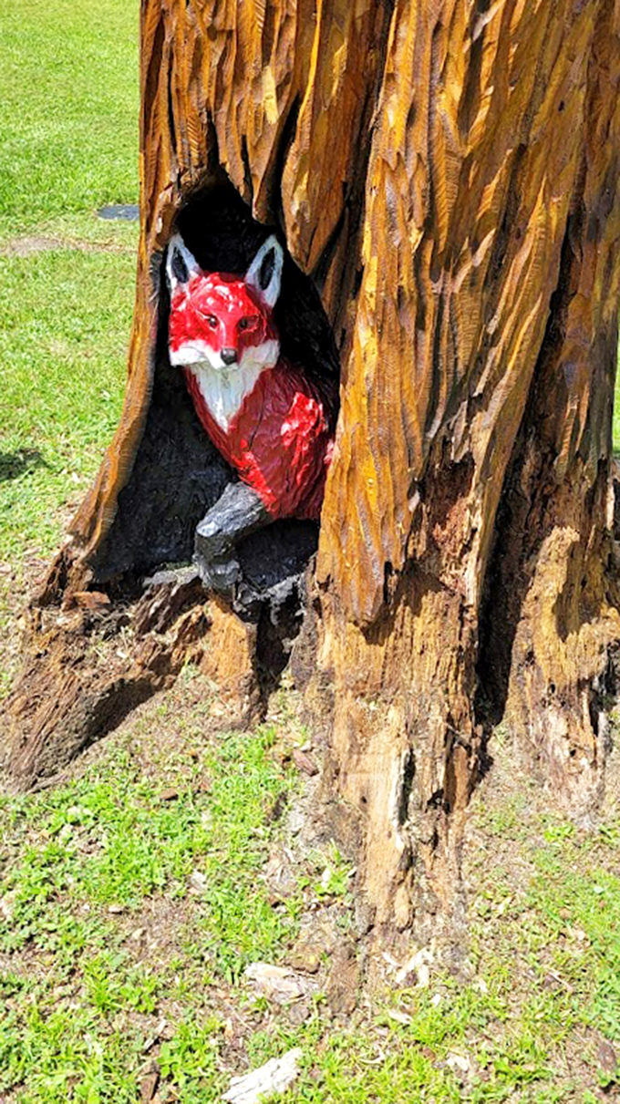 This clever fox, with its vibrant red coat, peeks from its wooden hollow like a character straight from a storybook.