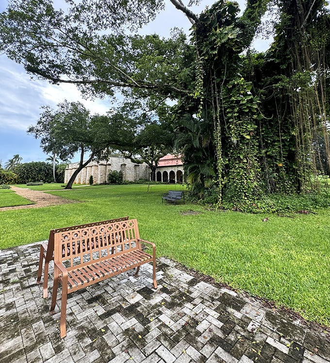 A wooden bench invites contemplation beneath sprawling trees, nature's waiting room for conversations with your inner medieval self.