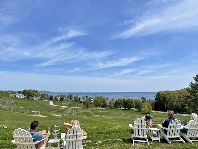 Wine with a view that rivals any postcard &ndash; visitors soak in panoramic vistas of Grand Traverse Bay while sampling the fruits of Michigan's innovative viticulture.