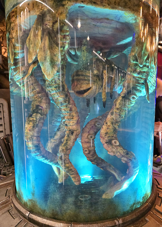 This preserved creature in luminous blue liquid seems almost alive, its tentacles pressed against the glass as if trying to escape.