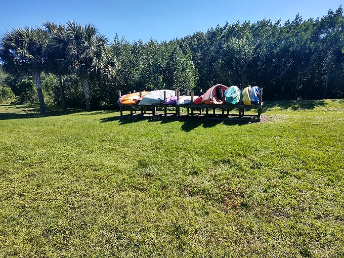 Colorful kayaks wait patiently in the grass, like eager puppies hoping to be chosen for an adventure on the water.