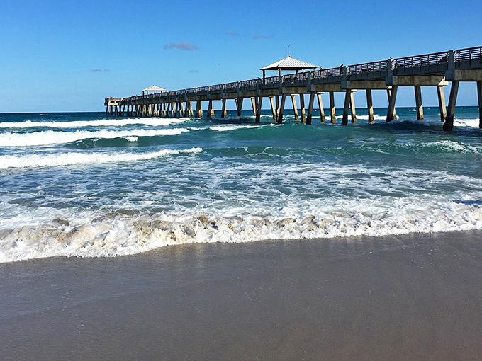 The iconic Jupiter pier stands sentinel over the beach, watching generations of happy dogs make memories below.