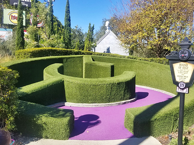 Navigate this verdant maze where every turn presents a new challenge and the hedges seem to watch your every move.