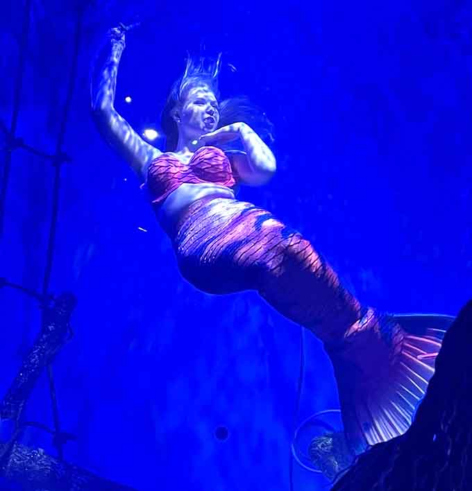 Mid-performance magic captured in a single frame &ndash; the mermaid's expression of joy perfectly embodies the spirit of this unique Florida attraction.