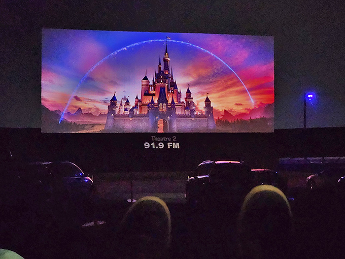 The Disney castle never looked better than it does on a massive outdoor screen with the night sky providing the ultimate surround experience.