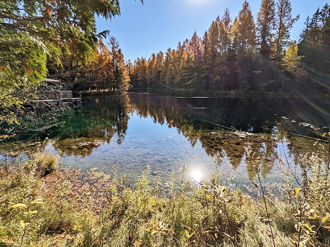 Autumn transforms the spring into a painter's palette, where fallen leaves create golden constellations on the water's surface.